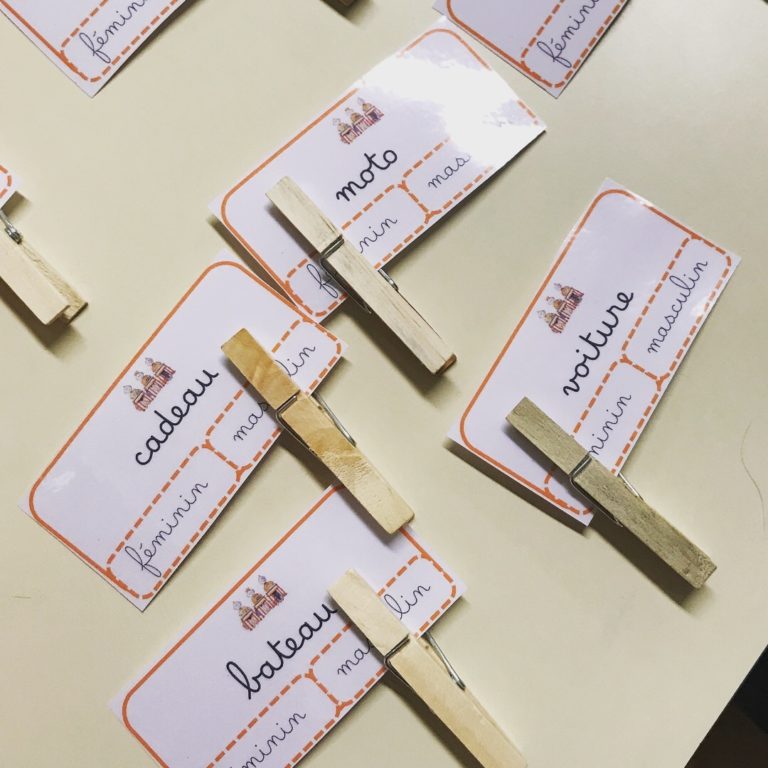 Cartes à Pinces : Grammaire | Bout de Gomme