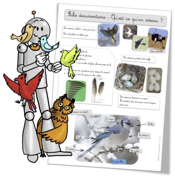 Lecture | Bout de Gomme