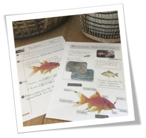 Documentaire sur le poisson | Bout de Gomme