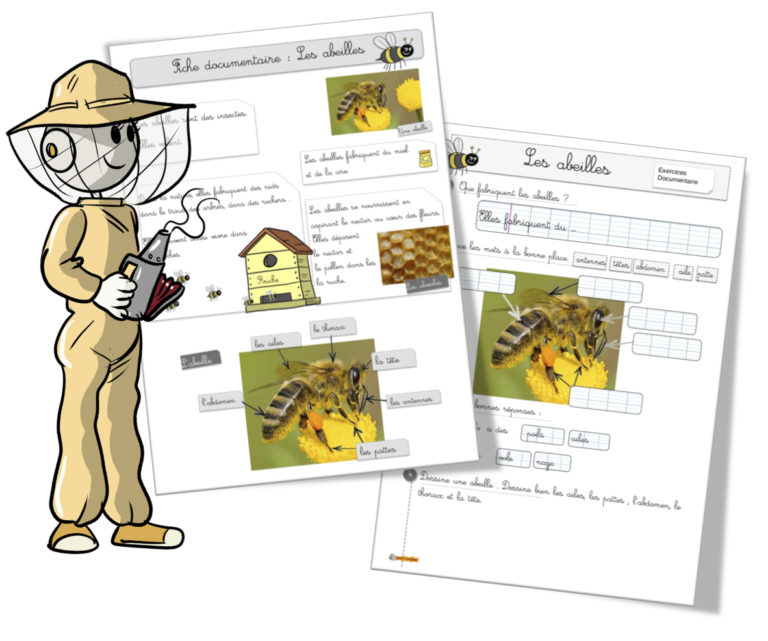 Documentaire sur les abeilles | Bout de Gomme