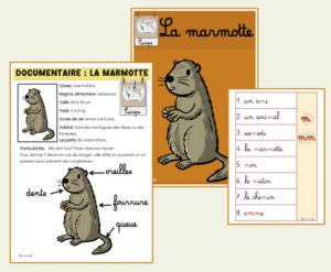 Lecture | Bout de Gomme