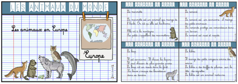 2025 | Bout de Gomme